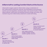 Inflamma-Pro - Functional WellBeing